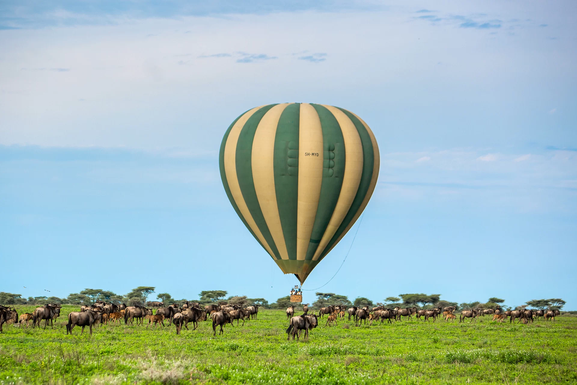 Fly on A Hot Air Balloon in Tanzania - Nyamera Treks & Safaris